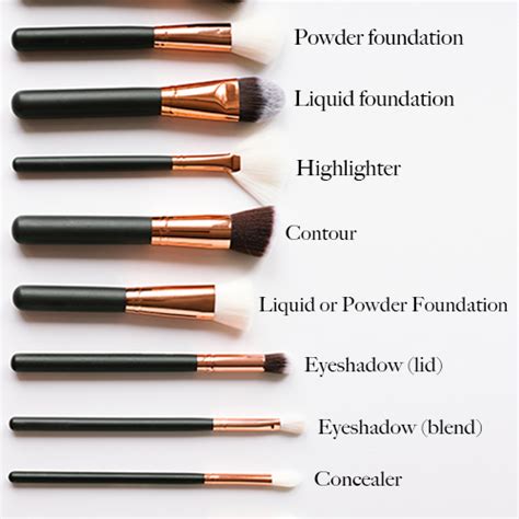 Types Of Makeup Brushes And Their Uses With Pictures Pdf Saubhaya Makeup