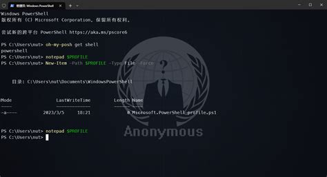 Oh My Posh 终端个性化工具 美化powershell Cmd 好物分享，真香~ Csdn博客
