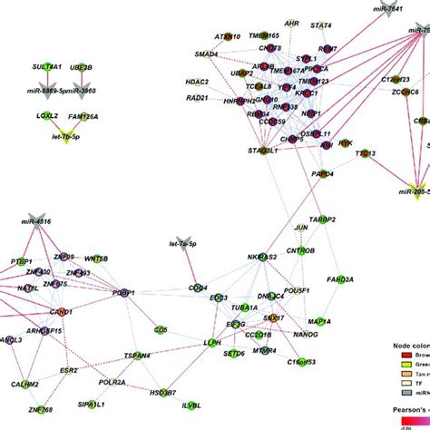 Hub Classification According To Functional Categories Biological