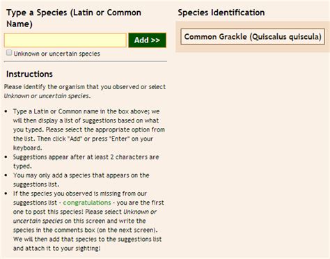 Data Entry Interfaces Download Scientific Diagram