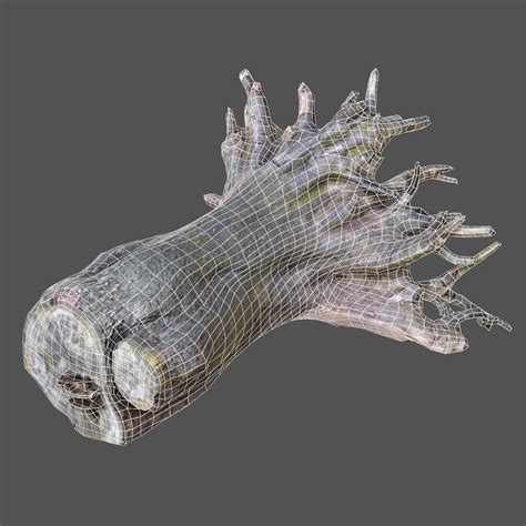 현실적인 나무 뿌리 모델 6 3d 모델 20 Ztl Obj Unknown Free3d