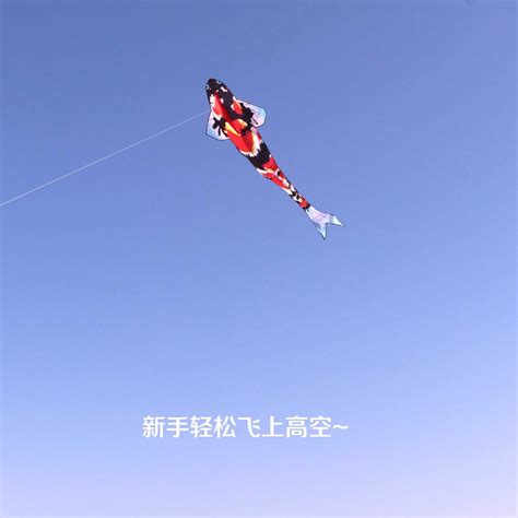 风筝平均飞多高 风筝一般飞多高 风筝飞得越高越好吗 第2页 大山谷图库