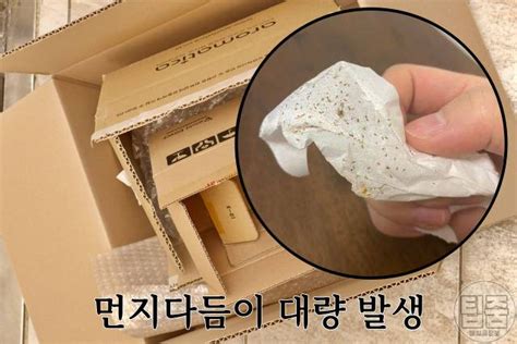 먼지다듬이 퇴치 효과 본 방법 6가지 먼지다듬이박멸