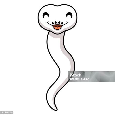 Kartun Ular Python Bola Leucistic Putih Lucu Ilustrasi Stok Unduh Gambar Sekarang Alam