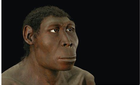 5 Facial Reconstruction Of A Homo Erectus Cutting Edge