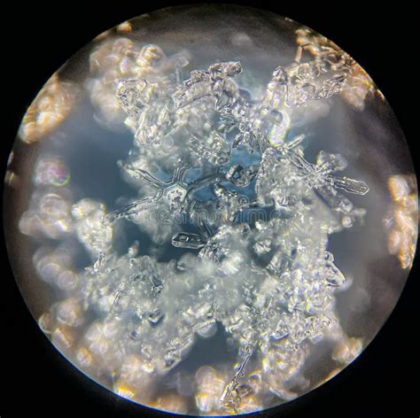 View On Snowflake Under Microscope Ocular Stock Image Image Of Mood Design 364234237