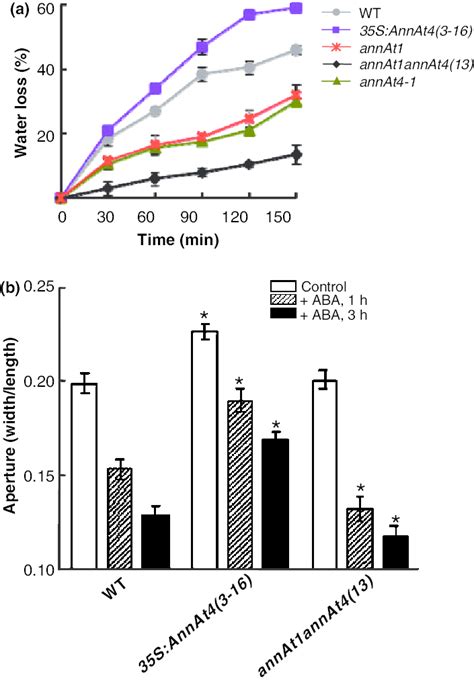 Stomatal Behavior Of Annat Transgenic And Mutant Plants In Response To