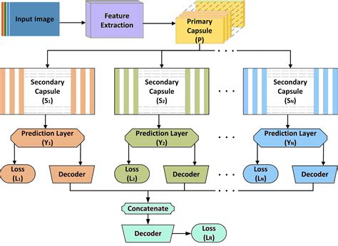 A Capsule Network For Hierarchical Multi Label Image Classification