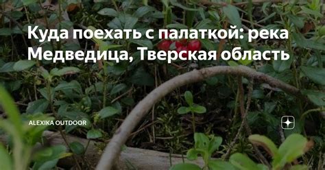Куда поехать с палаткой река Медведица Тверская область Alexika Outdoor Дзен