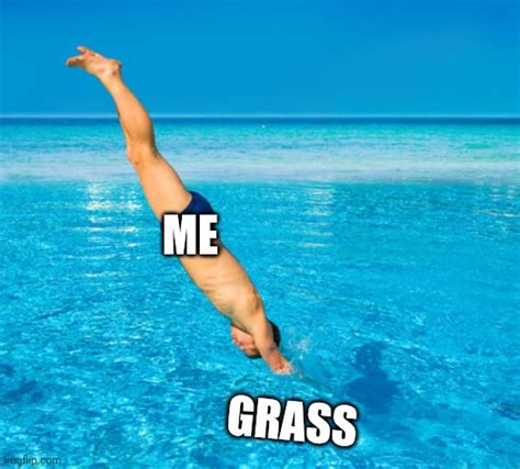 Me When Somebody Tells Me To Touch Grass Imgflip Me When Somebody Tells Me To Touch Grass Imgflip