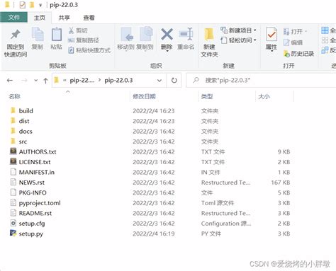 Pip2及pip3安装记录（pip2与pip3共存）pip2和pip3下载 Csdn博客