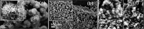 Sem Images Showing The Morphology Evolution From Nanosheets Nanorods Download Scientific
