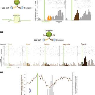 Modulation Of MDT Unit Activity During The Task Window A Olfactory Download Scientific