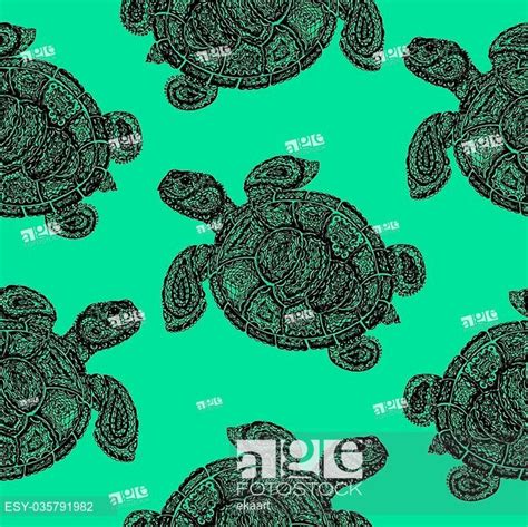 Turtle Shell Pattern Vector At Collection Of Turtle Shell Pattern Vector Free