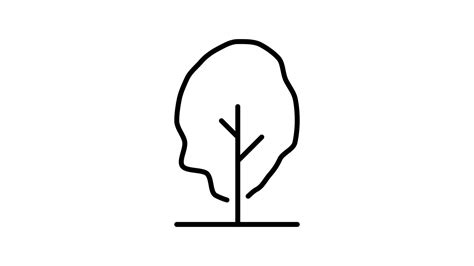 Tree Outline Icon Animation Transparent Background 47014999 Stock Video At Vecteezy