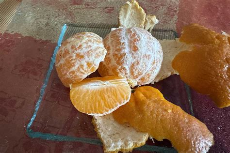 Quelle Est La Différence Entre Une Clémentine Et Une Mandarine Comment