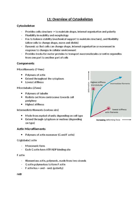 Cytoskeleton Summary Cell Structure And Function L1 Overview Of