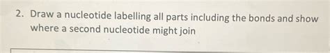 2 Draw A Nucleotide Labelling All Parts Including The Bonds And Course Hero