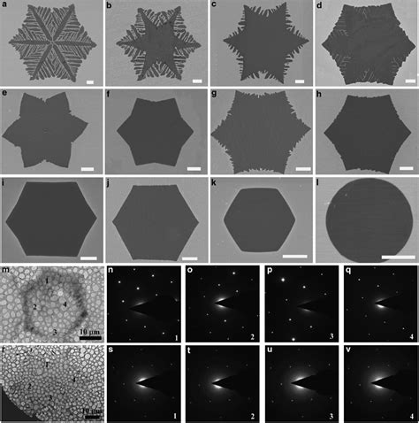 Sem And Tem Images And Selected Area Electron Diffraction Patterns Of A