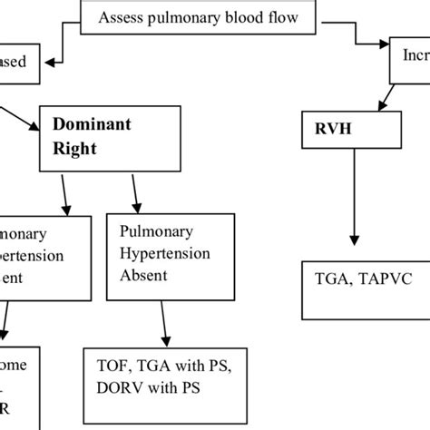 B Algorithm For Clinical Diagnosis Of Cyanotic Congenital Heart