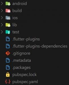 Simple Webview Google Flutter Tutorial For Beginners