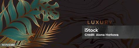 황금 잎이있는 가을 고급 열대 배너 청동 몬스터 고사리 야자수 잎 우림에 대한 스톡 벡터 아트 및 기타 이미지 우림 밤 하루 시간대 정원 Istock