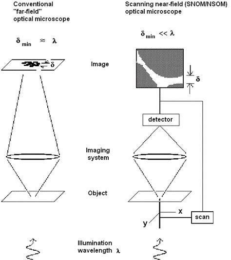 Comparison Of Far Field And Near Field Microscopy While In The Download Scientific Diagram