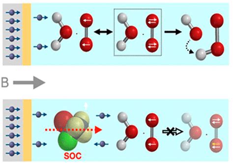 The Journal Of Physical Chemistry Letters