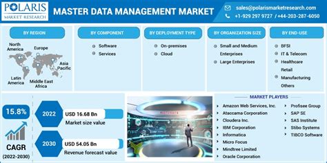 Master Data Management Market Size Share And Growth Report 2030