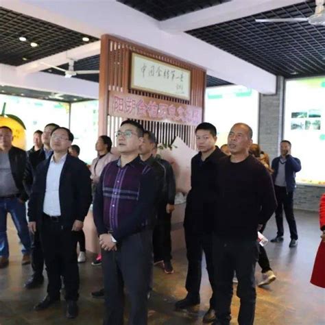 林小波、何毅到白沙镇参加人大代表进站履职主题活动工作群众党的领导