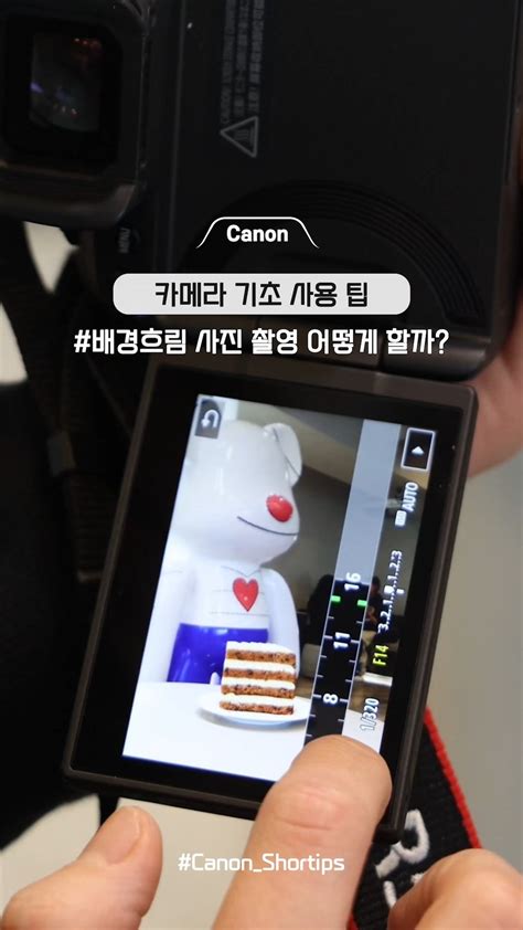 캐논코리아 주식회사 캐논 X 스위스 발레주 작품 여행🇨🇭 눈으로 덮인 스위스의 압도적인 설경 ️ 2~3 000m 알프스 산맥의 아름다움을 8명의 캐논 유저와 함께