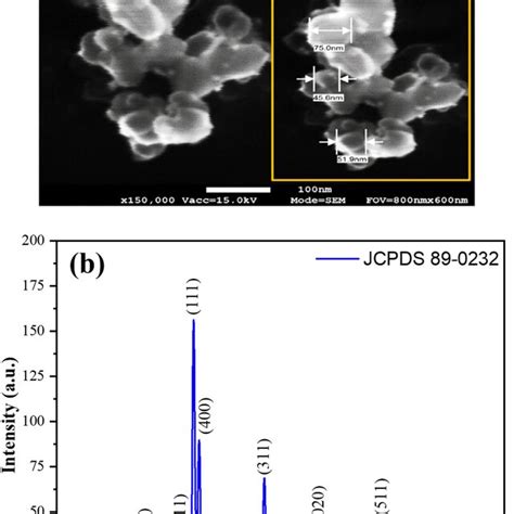 A Scanning Electron Microscopic Sem Image And B X Ray Diffraction Download Scientific