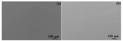 Ex Situ Examination Of Matrix And Inclusions Of Api X100 Before And After Exposure To Bitumen At