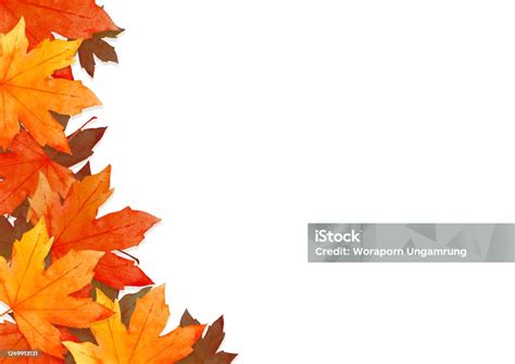 흰색 배경에 고립 된 단풍 개념의 붉은 잎 프레임 평평한 평지 상단 보기 복사 공간 0명에 대한 스톡 벡터 아트 및 기타 이미지 0명 10월 9월 Istock