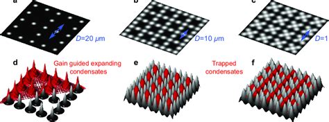 Bose Einstein Condensate Particle Arrangement