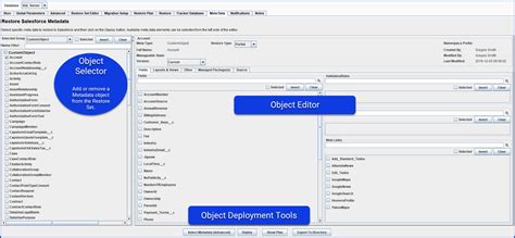 Meta Data Tab Capstorm Learning Center