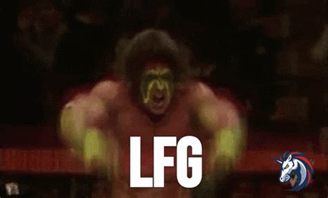 Lfg  S