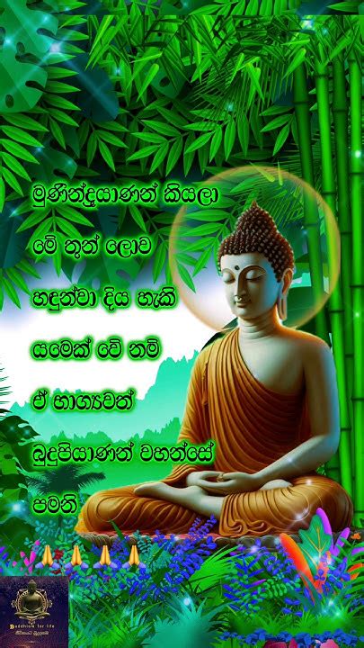 මුණින්ද්‍රයාණෙනි🙏🙏 Buddhismforlife2809 Motivation Subscribe Buddha Foryou Shorts Youtube