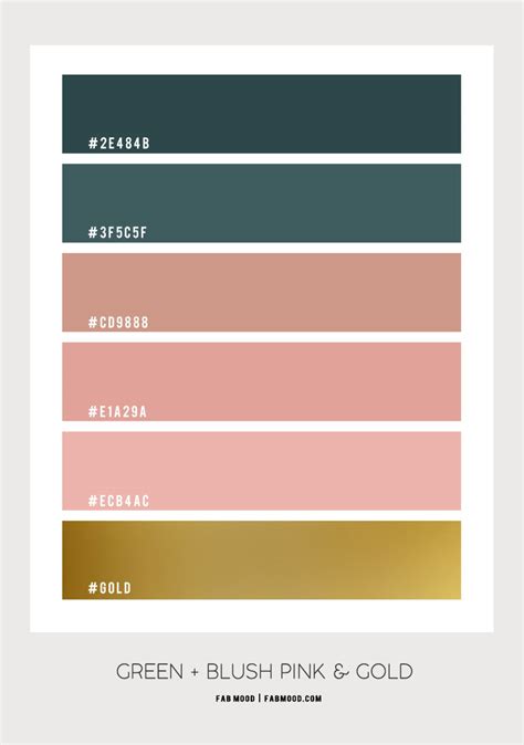 Blush Code Color At Philip Mayers Blog