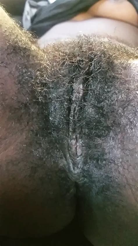 Hairy Black Girl Hasn T Shaved In Months Porn 99 XHamster