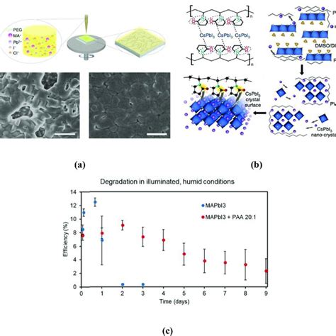 A Schematic And Sem Image Of Perovskite Surface Without And With Peg Download Scientific