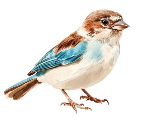 Illustration Of A Tropical Beige Bird On A White Background A