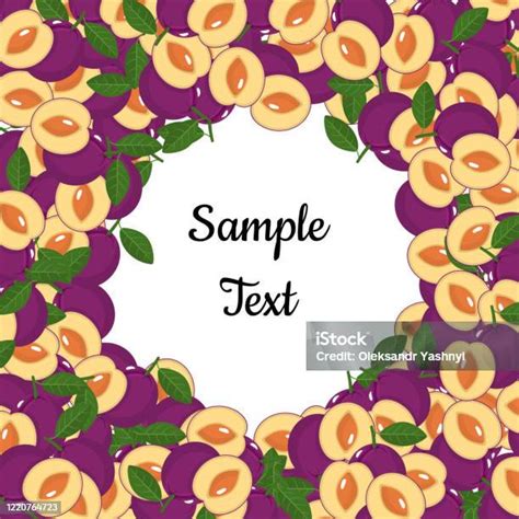 텍스트 공간이 있는 매화 열매의 프레임 배경입니다 만화 유기농 달콤한 음식입니다 건강한 라이프 스타일을위한 여름 과일 모든 디자인에 대한 벡터 그림입니다 건강한 생활방식에