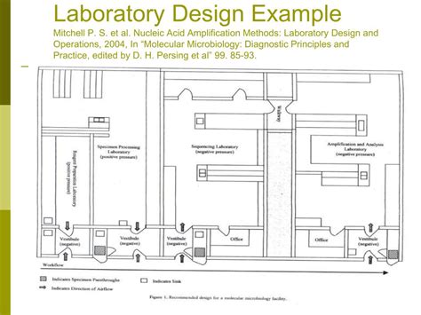 Ppt Molecular Laboratory Design Qa Qc Considerations Powerpoint
