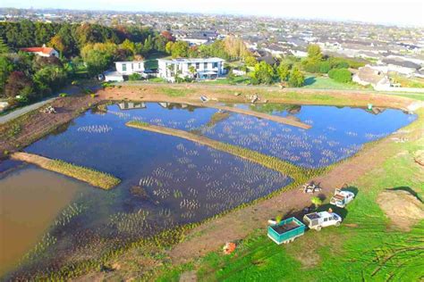 Rank Grass Is Better Than None Nativeawa