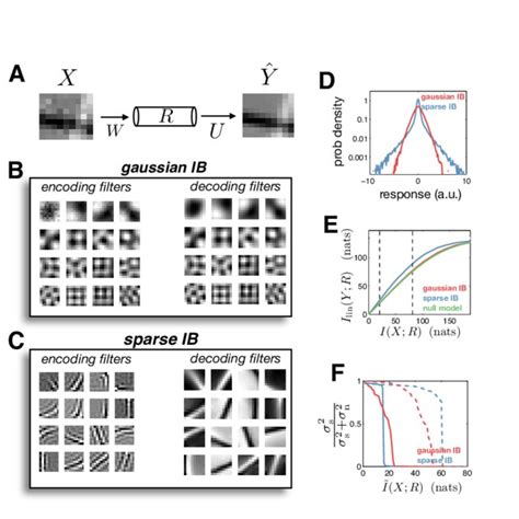 Spatially Correlated Noise Download Scientific Diagram
