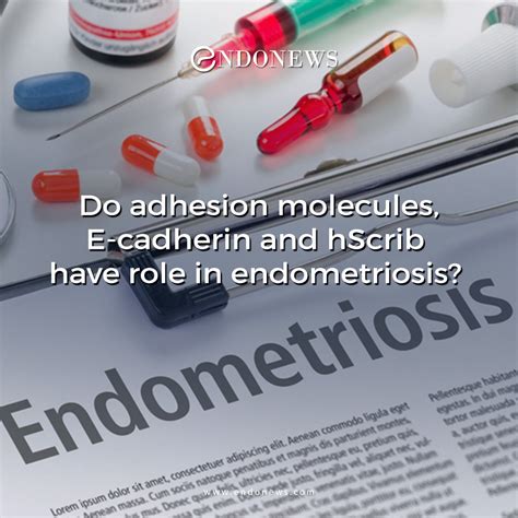 The Role Of Adhesion Molecules E Cadherin And Hscrib In Endometriosis Endonews