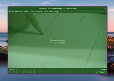 Wayland Backend Does Not Set An Opaque Region · Issue 8125 · Mpv Playermpv · Github