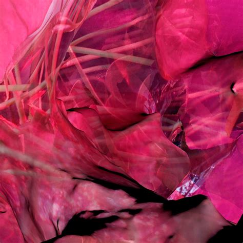 Soft Tissue Soft Tissue Reviews Album Of The Year