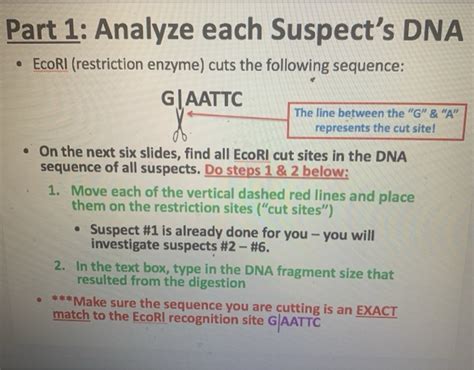 Solved Activity Now It S Your Turn There Are Four Parts To Chegg